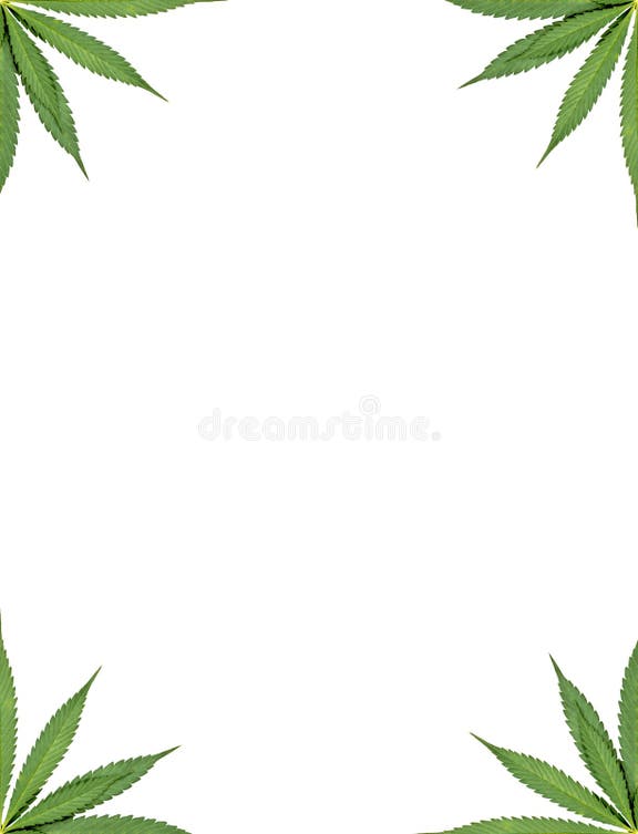 Marijuana frame stock photo. Image of medicinal, plant - 34062672