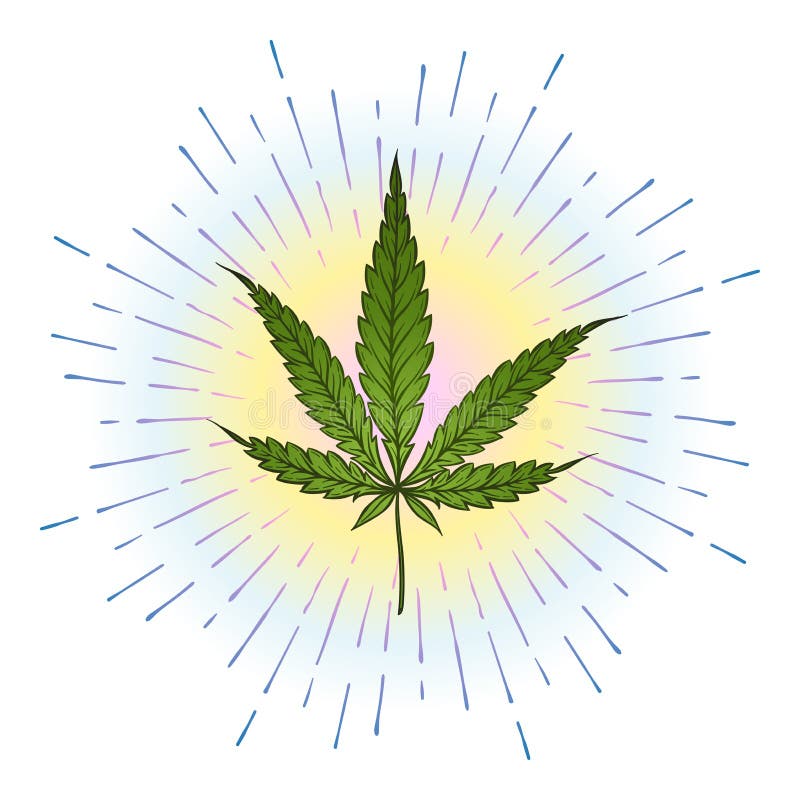 Marijuana Green Leaf with Bright Colorful Shining Over White Background ...