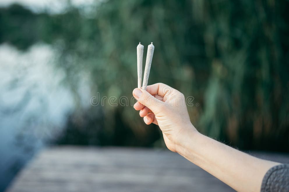 Marijuana Joint in hand stock image. Image of ganja - 281557407