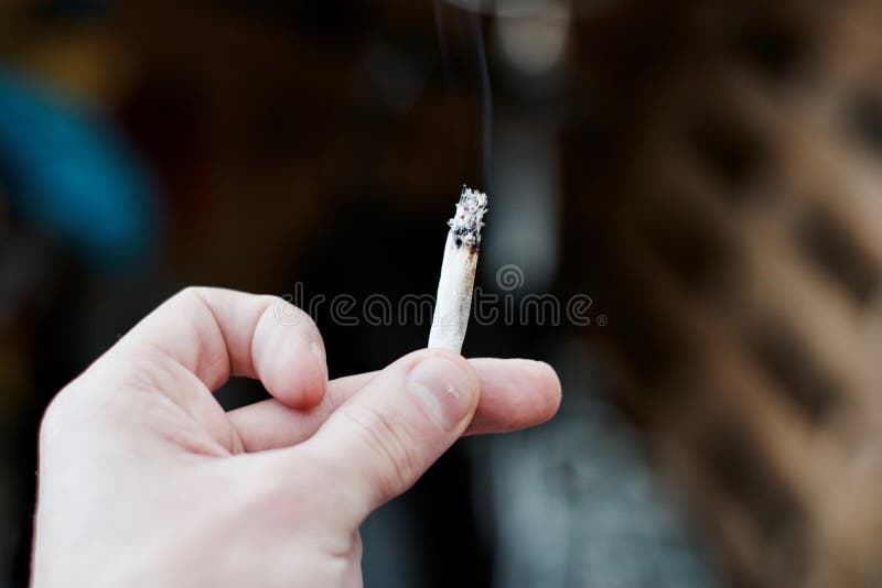 Marijuana joint in hand stock photo. Image of grass - 103578700