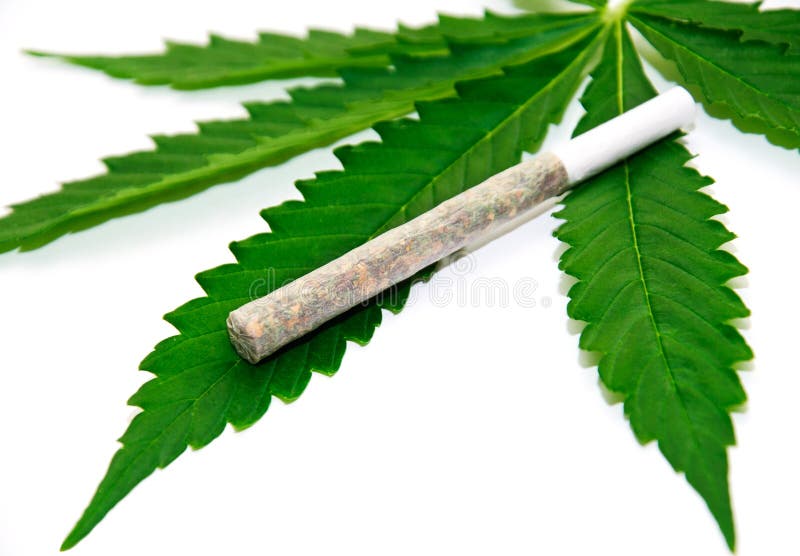 Marijuana joint on leaf stock image. Image of drug, culture - 43060985