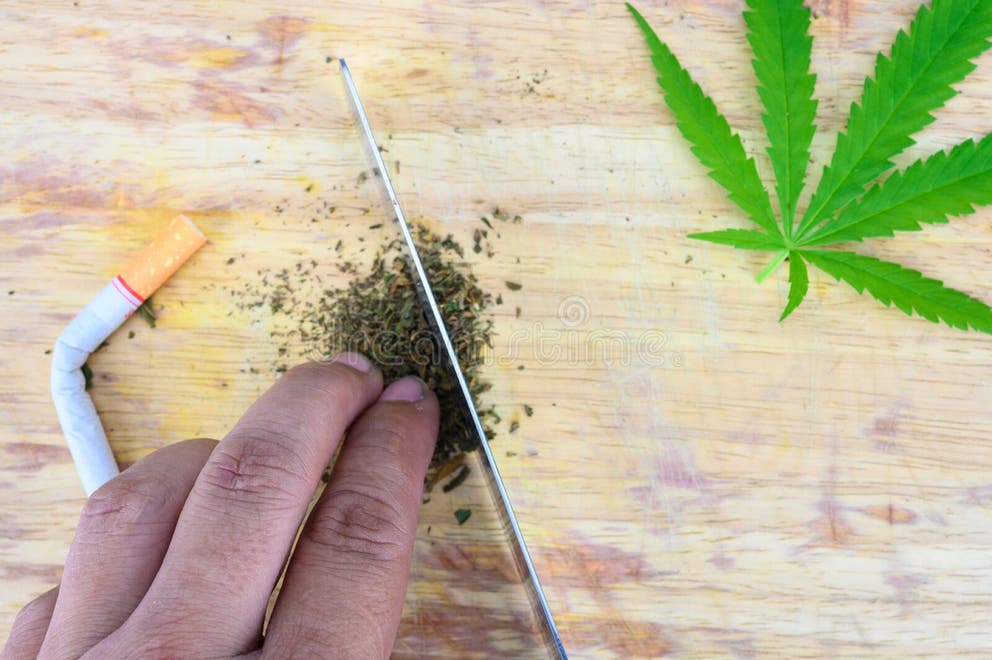 Marijuana joints and buds stock image. Image of leaf - 173599687