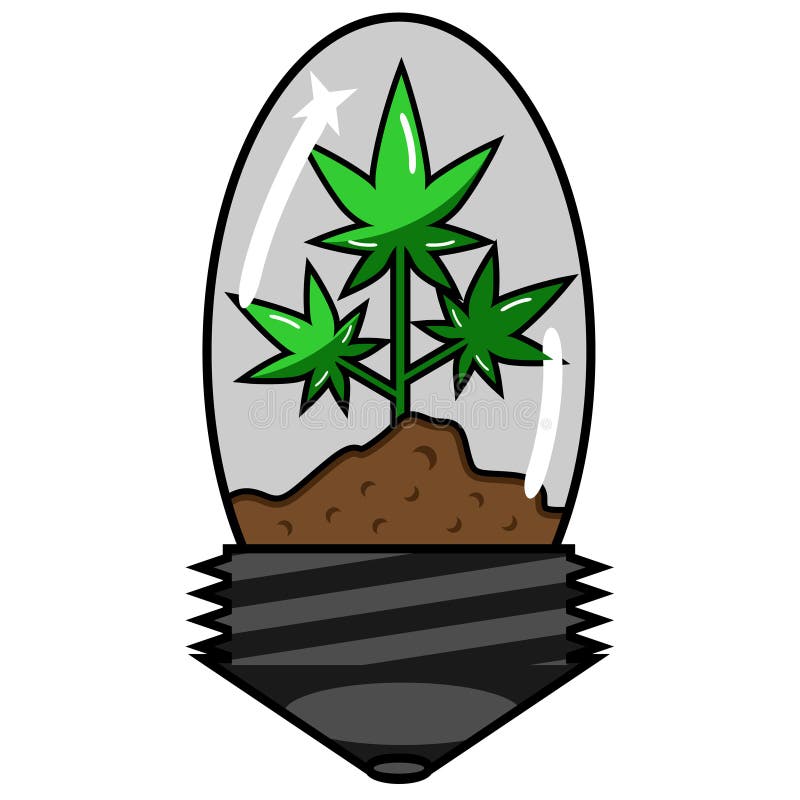 Marijuana leaf in a lamp stock vector. Illustration of traditional ...