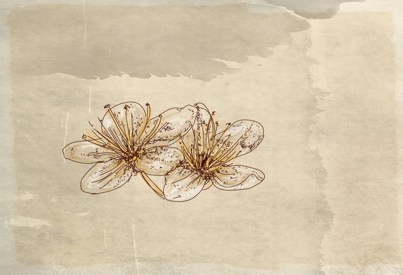 Series of Flowers, with Vintage Antique Base Stock Illustration ...