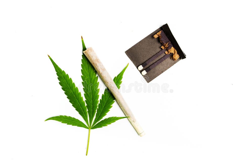 Marijuana Leaf and Wrapped Joint on White Stock Image - Image of legal ...