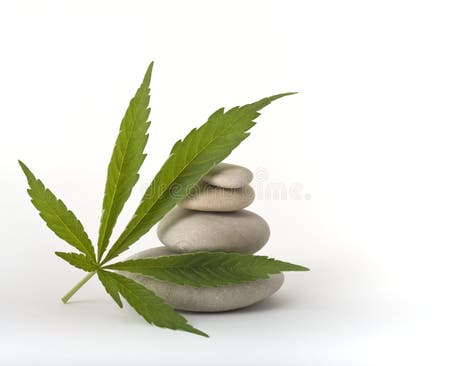 Marijuana leaf zen stones stock photo. Image of marijuana - 14134988