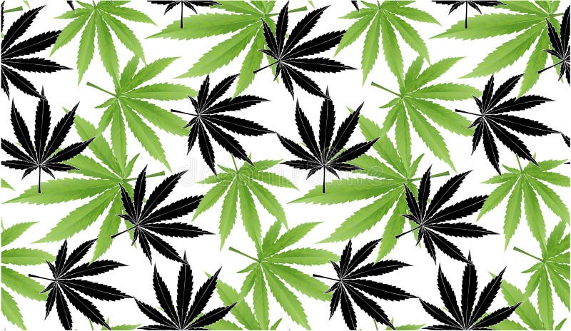 Marijuana Leaves Seamless Pattern Stock Vector - Illustration of ...