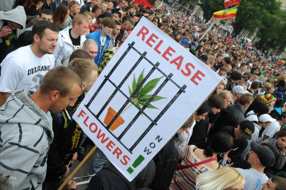 Marijuana protest editorial stock image. Image of marihuana - 19708479