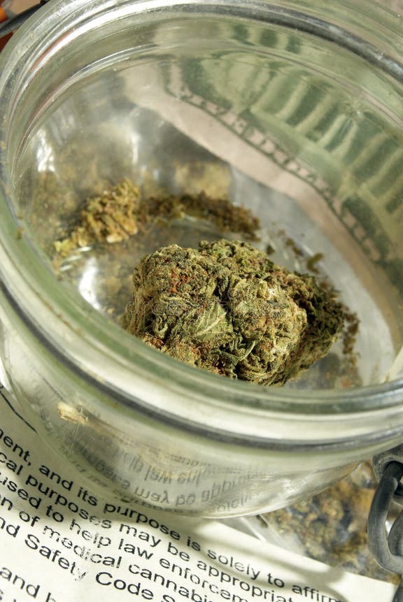 Marijuana stock photo. Image of keyword, healthcare, indica - 38870450