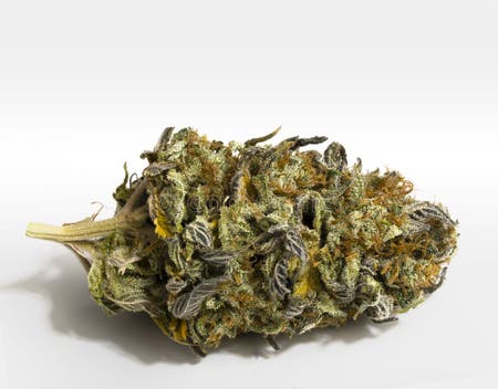 Marijuana on White stock photo. Image of white, drugs - 21157150