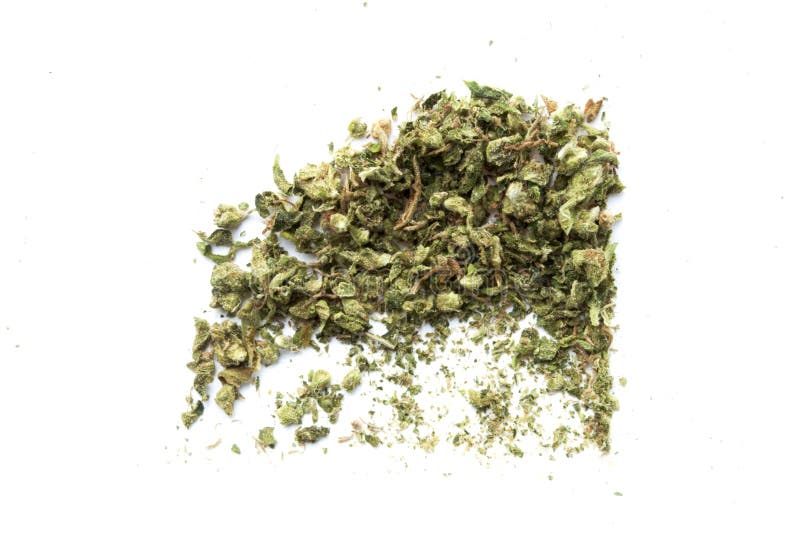 Marijuana, White Background Stock Photo - Image of agriculture, joint ...
