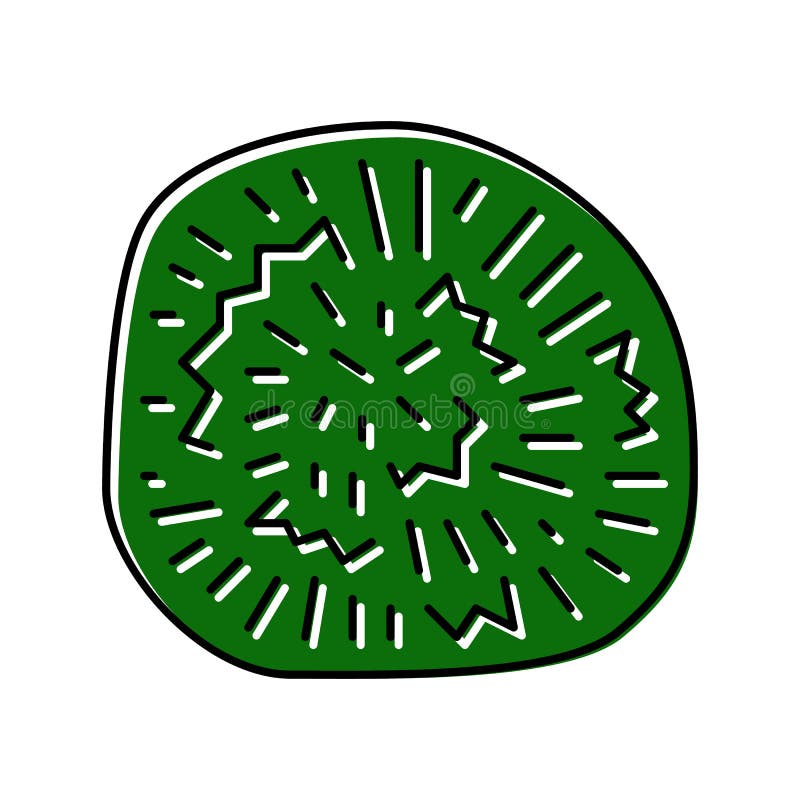 Marimo Ball Color Icon Vector Illustration Stock Vector - Illustration ...