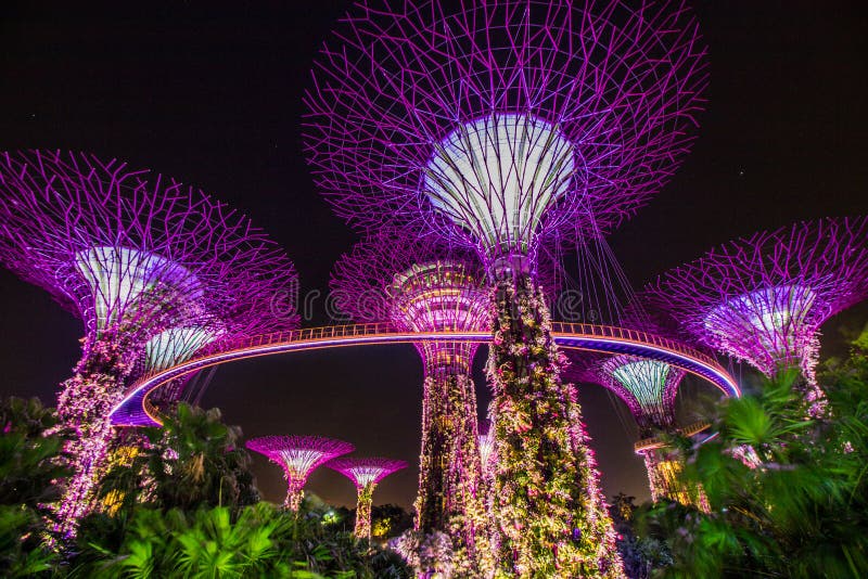 Marina Bay Trees at Garden by the Bay Stock Image - Image of garden ...