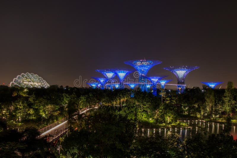 Marina Bay Trees at Garden by the Bay Stock Photo - Image of landscape ...