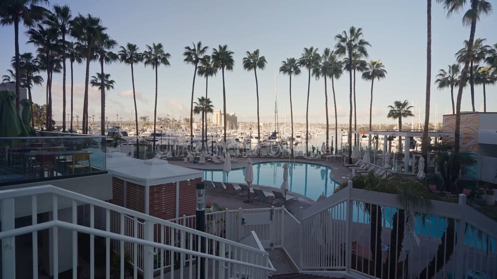 Marina Pool and Palm Trees stock image. Image of background - 369705111