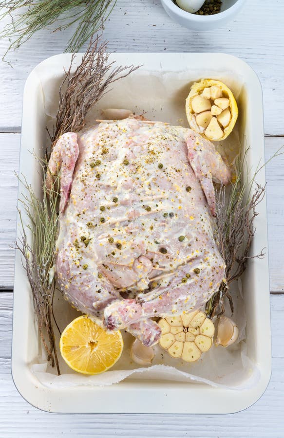 Marinated chicken stock photo. Image of baked, chili - 44922172