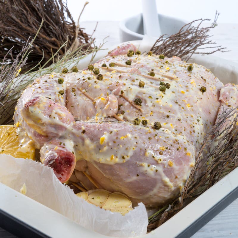 Marinated chicken stock image. Image of appetizer, marinated - 44981607