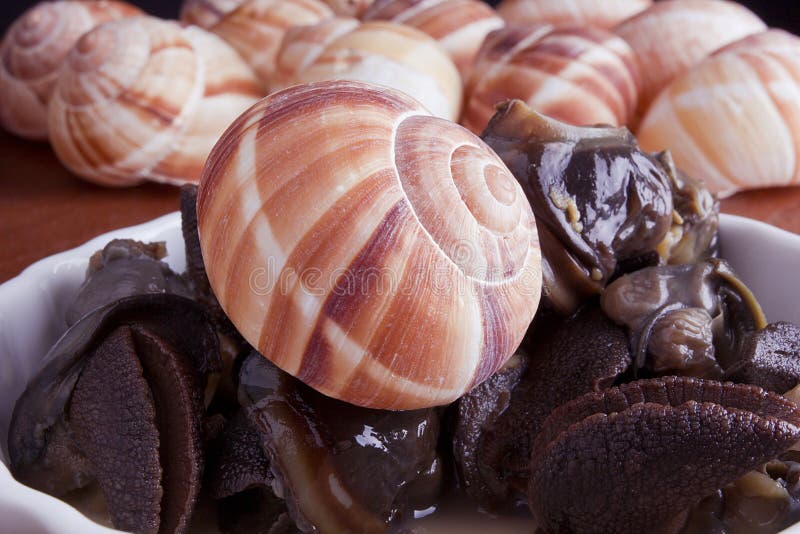 Marinated escargot stock image. Image of plate, isolated - 42284837