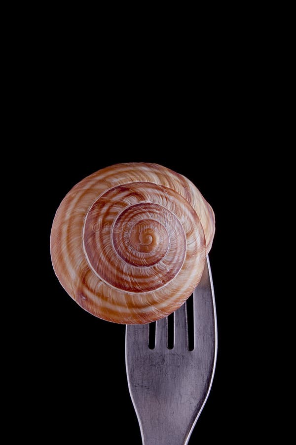 Marinated Escargot Fork Stock Photos - Free & Royalty-Free Stock Photos ...