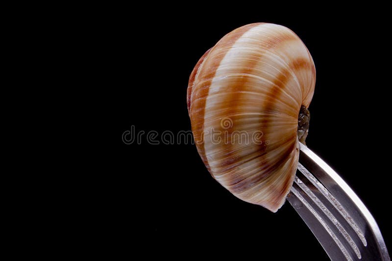 Marinated Escargot Fork Stock Photos - Free & Royalty-Free Stock Photos ...