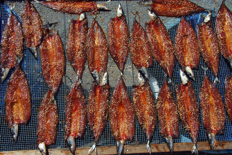 Marinated fish drying stock photo. Image of cuttlefish - 39704058