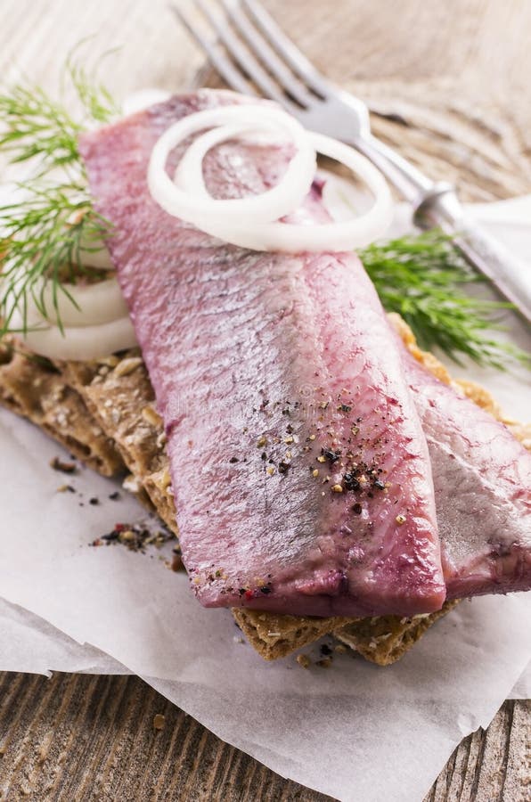 Marinated Fish Fillet stock image. Image of herring, gherkin - 38410857