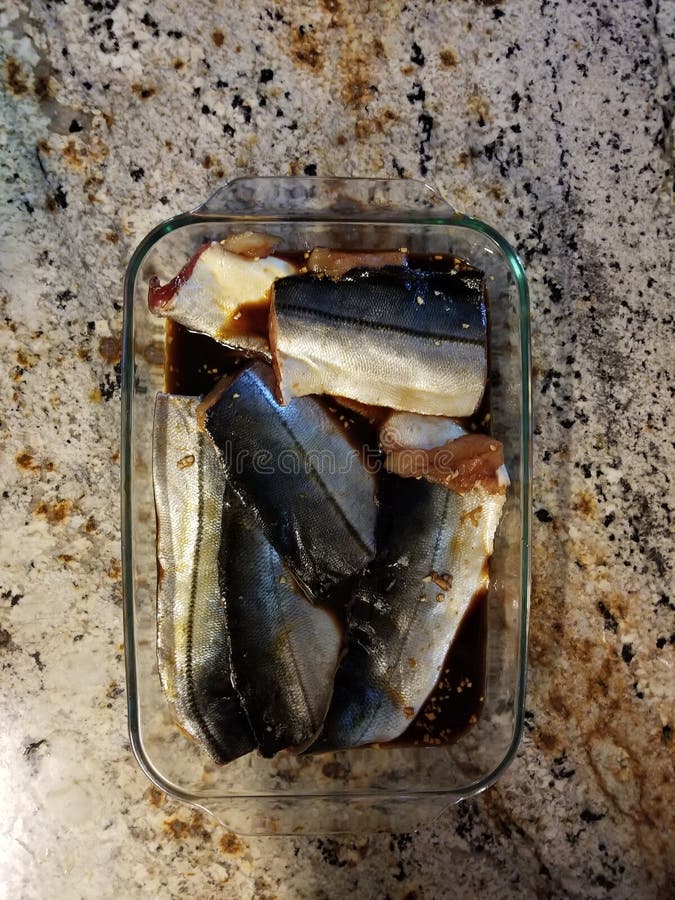 Marinated fish stock image. Image of recipe, bluefin - 103894323