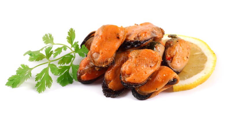Marinated Mussels Isolated on a White Background Stock Image - Image of ...