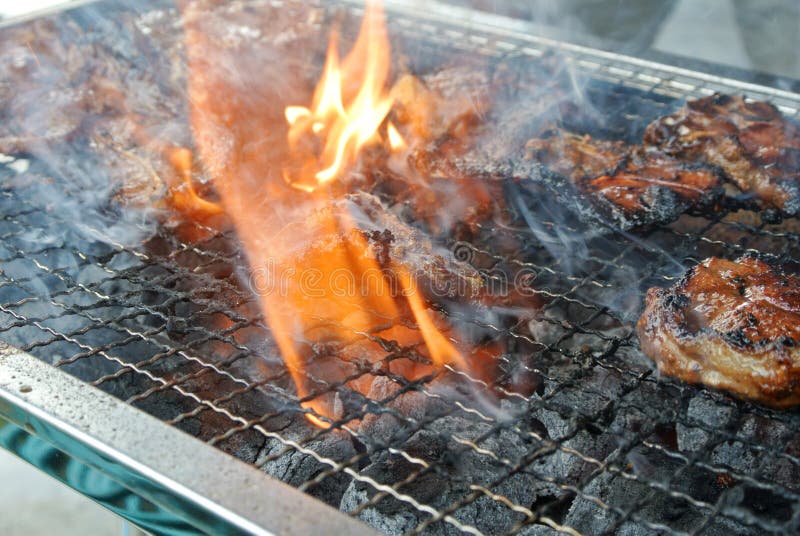 Marinated Mutton with Spices, Grilled and Smoked Stock Image - Image of ...