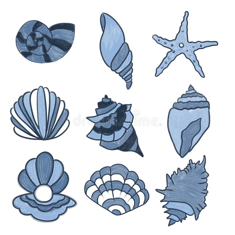 Blue shells stock vector. Illustration of development - 8618489