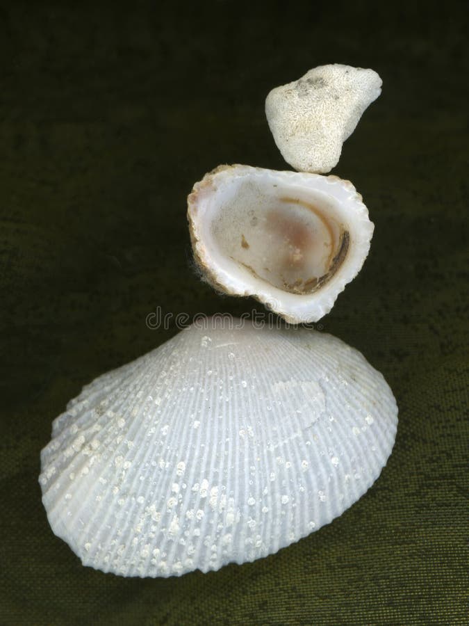 Marine composition stock photo. Image of fragment, colors - 59657674