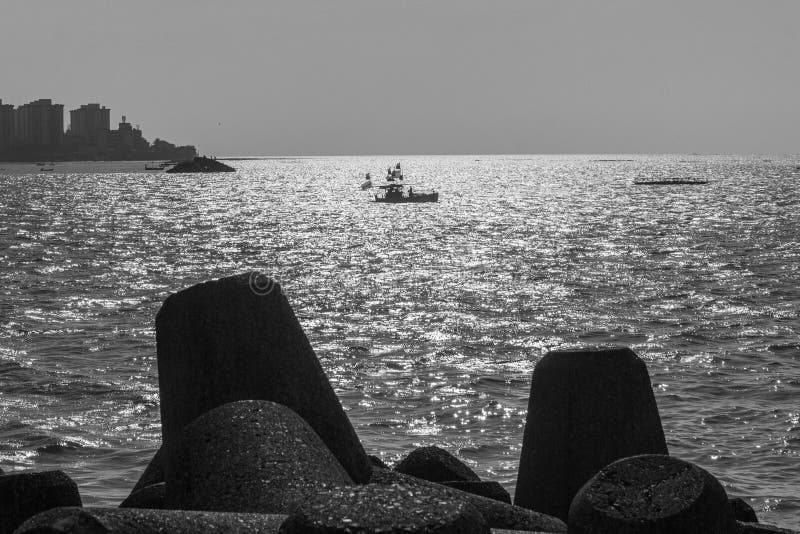 Marine Drive stock photo. Image of marine, silhouette - 167240488