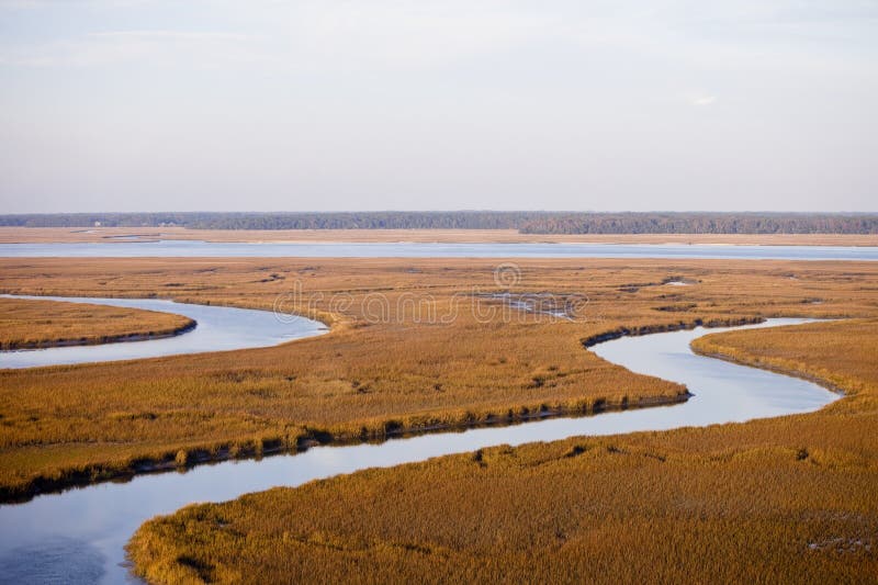 Estuary stock image. Image of swamp, marsh, nature, river - 1078299
