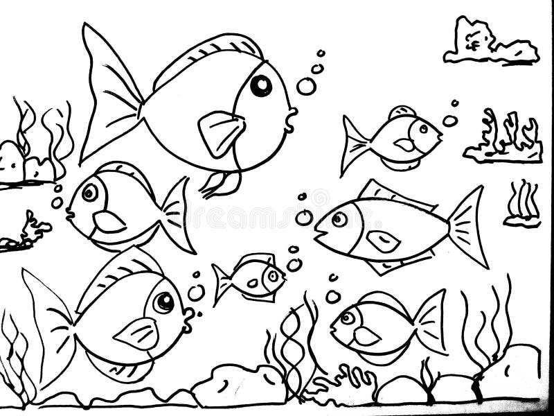 Marine Fish Drawing by Hand, Illustration Marine Fish Stock ...