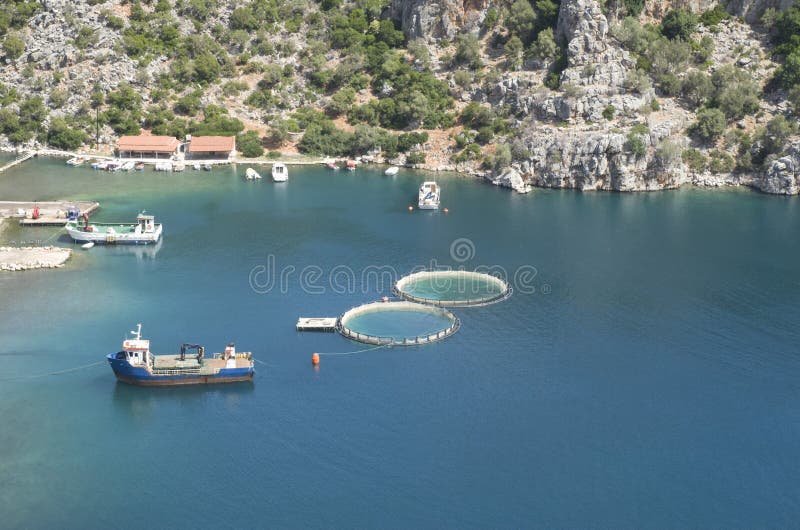 Marine fish farm in Greece stock image. Image of outdoor - 171566795