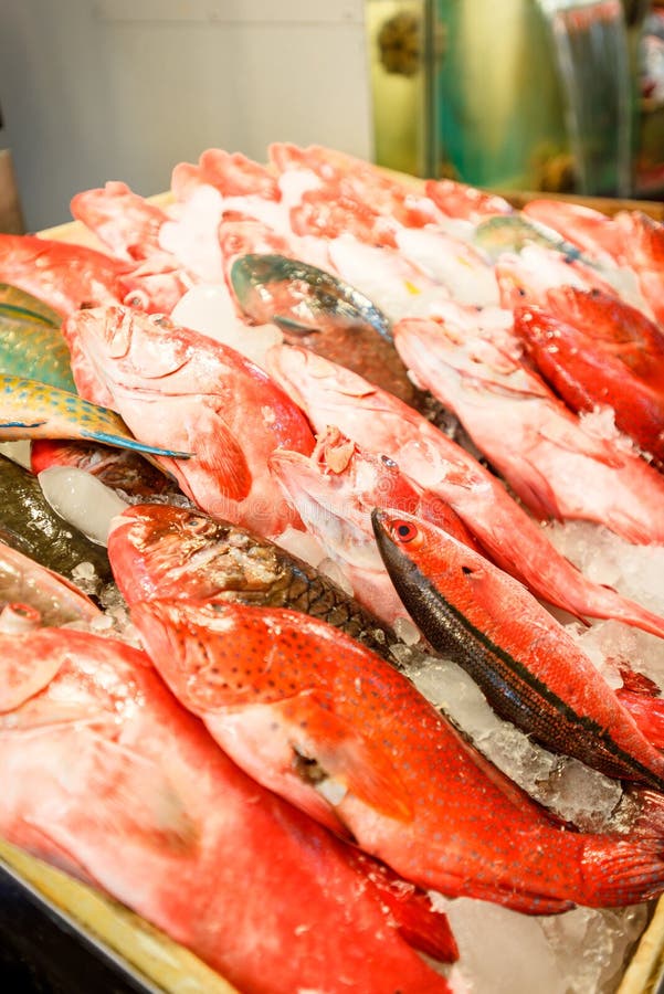 Marine fish on the taiwan stock photo. Image of citron - 53496994