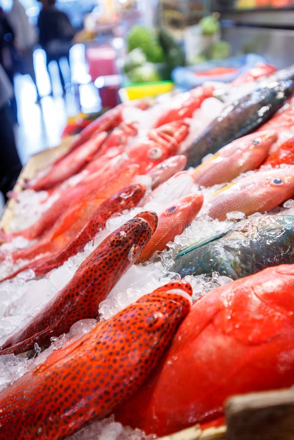 Marine fish on the taiwan stock photo. Image of citron - 53496994