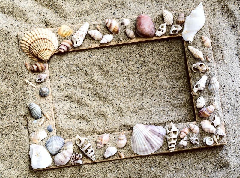 Marine frame in the sand stock photo. Image of shells - 42641182
