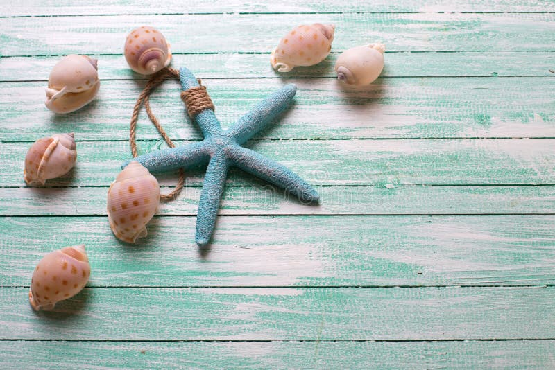 Marine Items Sea Star Shells Turquoise Wooden Background Stock Photos ...