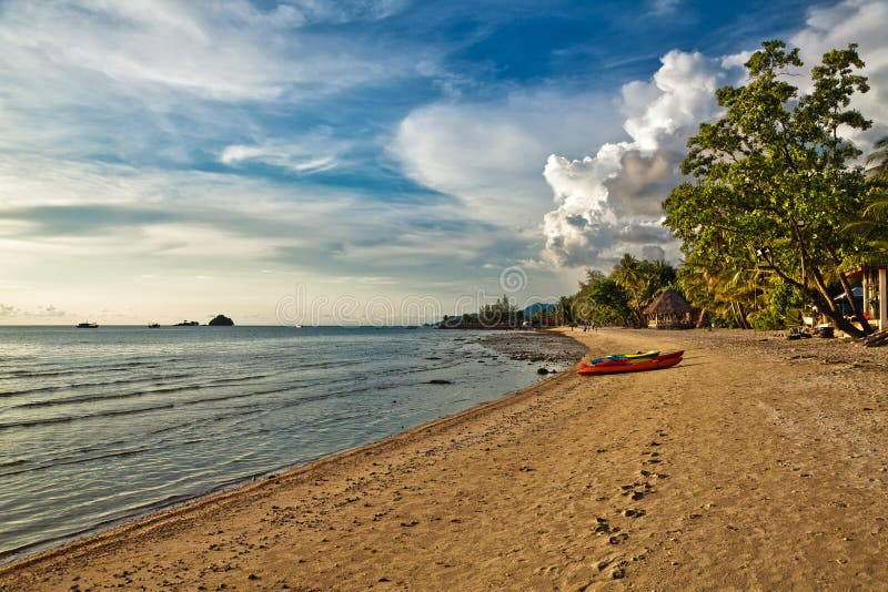 Marine landscape stock photo. Image of flora, colorful - 24825924