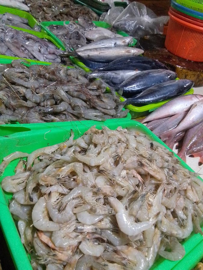 Marine Life Shrimp Fish Squid Stock Image - Image of dish, life: 420937501