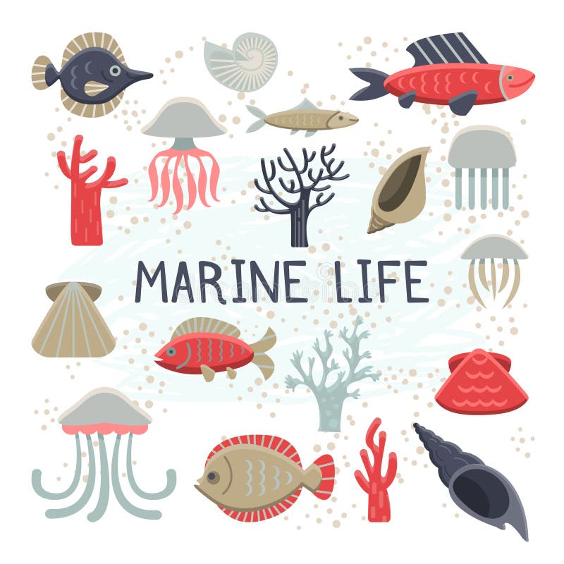 Marine Life Vector Illustrations Set Illustration de Vecteur ...
