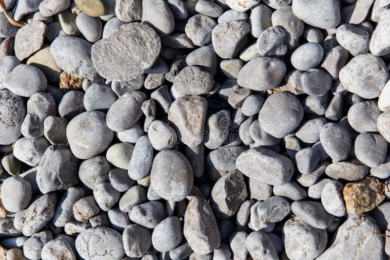 Marine Pebbles on Beach Summer Stock Photo - Image of nature, peace ...