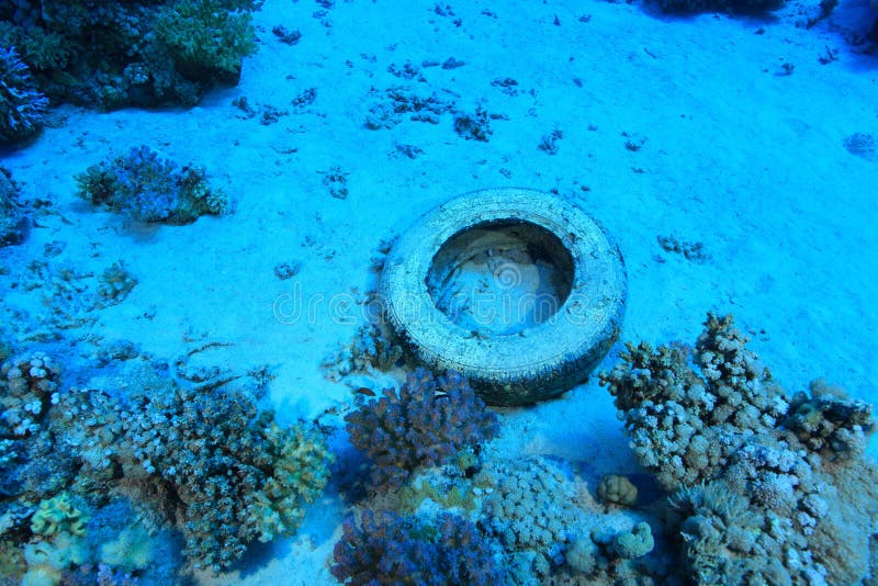 Marine pollution stock image. Image of marsa, egypt, hurghada - 36670313