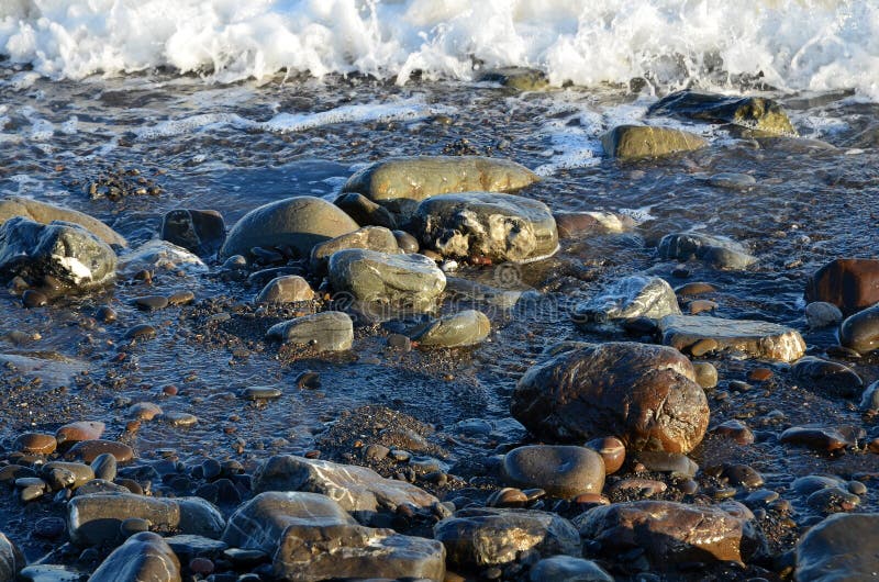 Marine rocky shore. stock photo. Image of beach, shore - 84773810