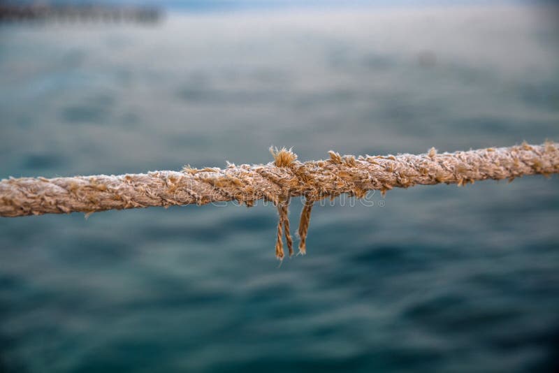 Marine ropes at pier stock image. Image of ocean, water - 179786419
