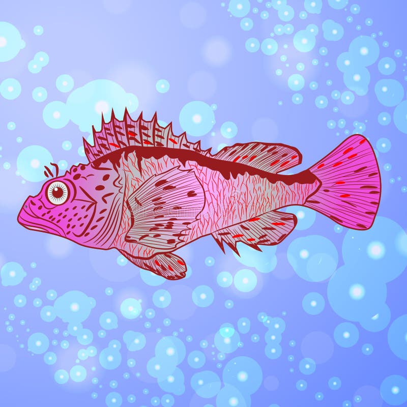 Marine ruff stock vector. Illustration of cornea, bubbles - 40120045