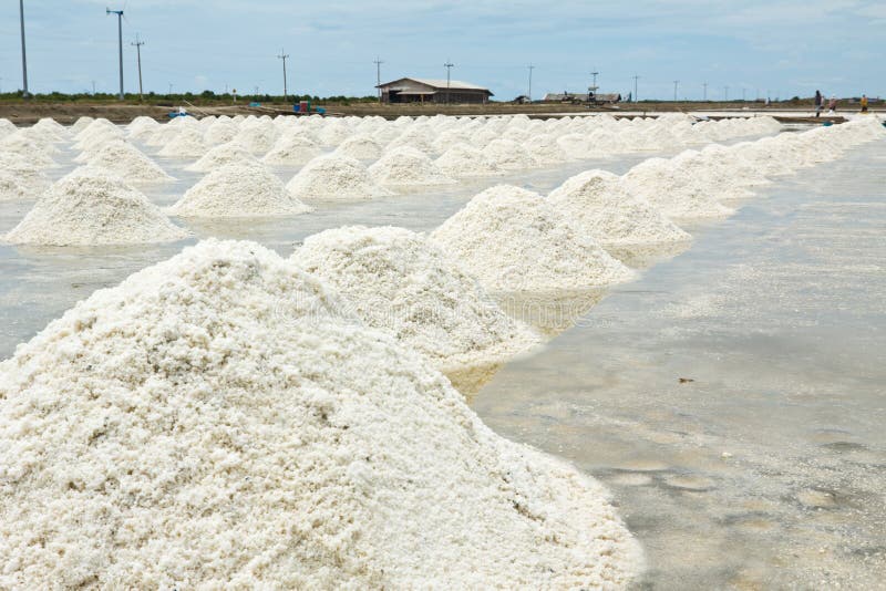 Marine salt farm stock photo. Image of thailand, extensive - 24731510