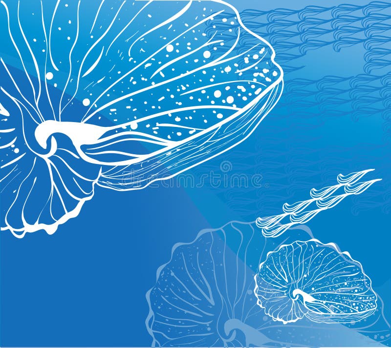 Seashell on the Blue Background Stock Vector - Illustration of wildlife ...