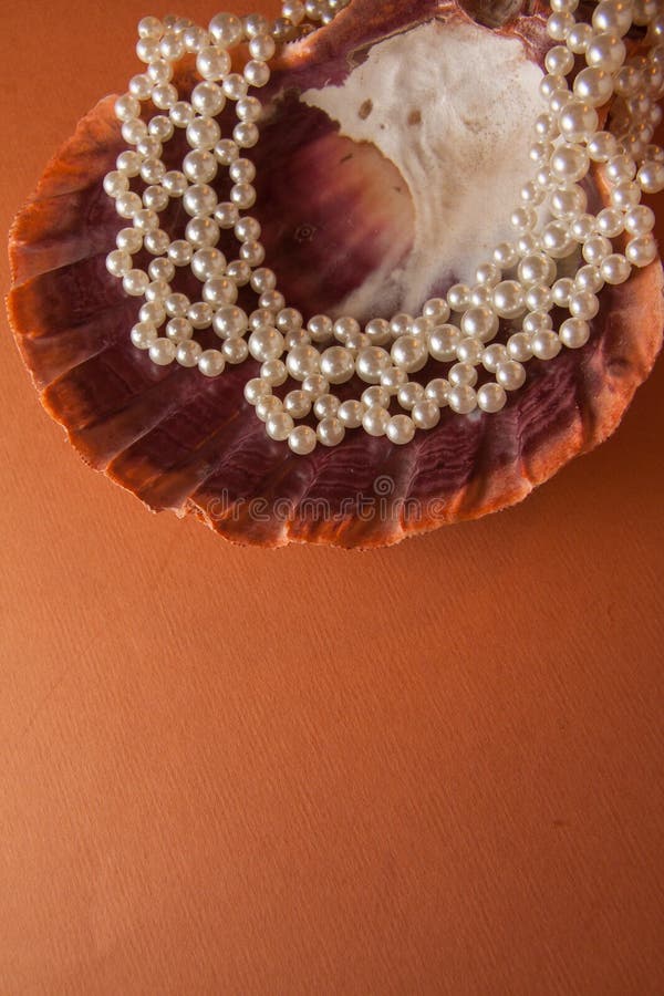 Marine shells with beads stock image. Image of overbite - 70464343